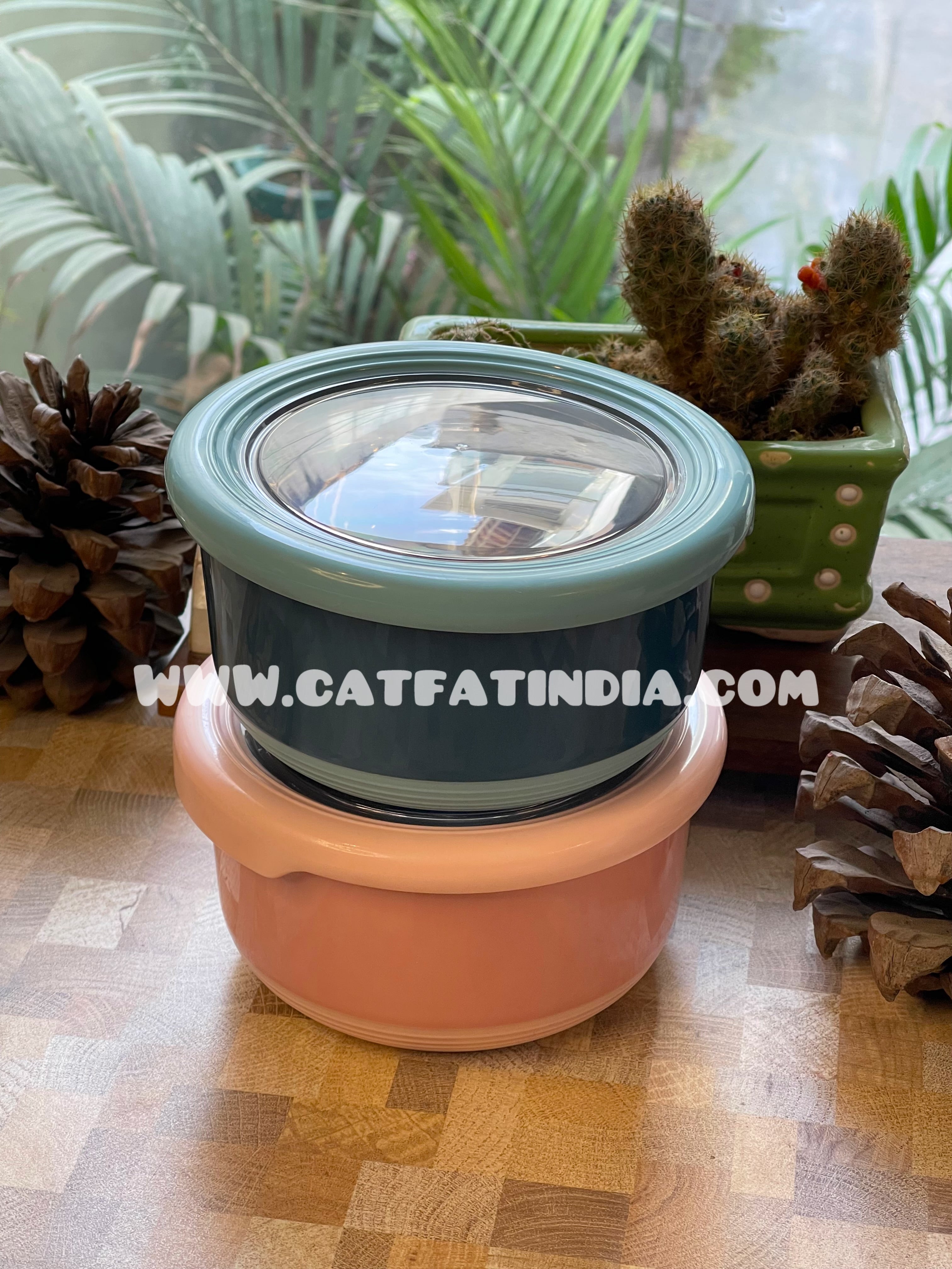 NEW ARRIVALS – CATFATINDIA
