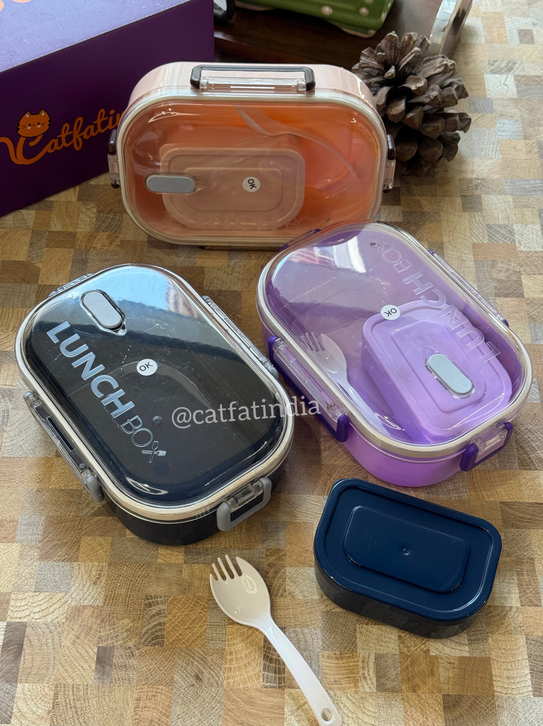 LUNCH BOXES – CATFATINDIA