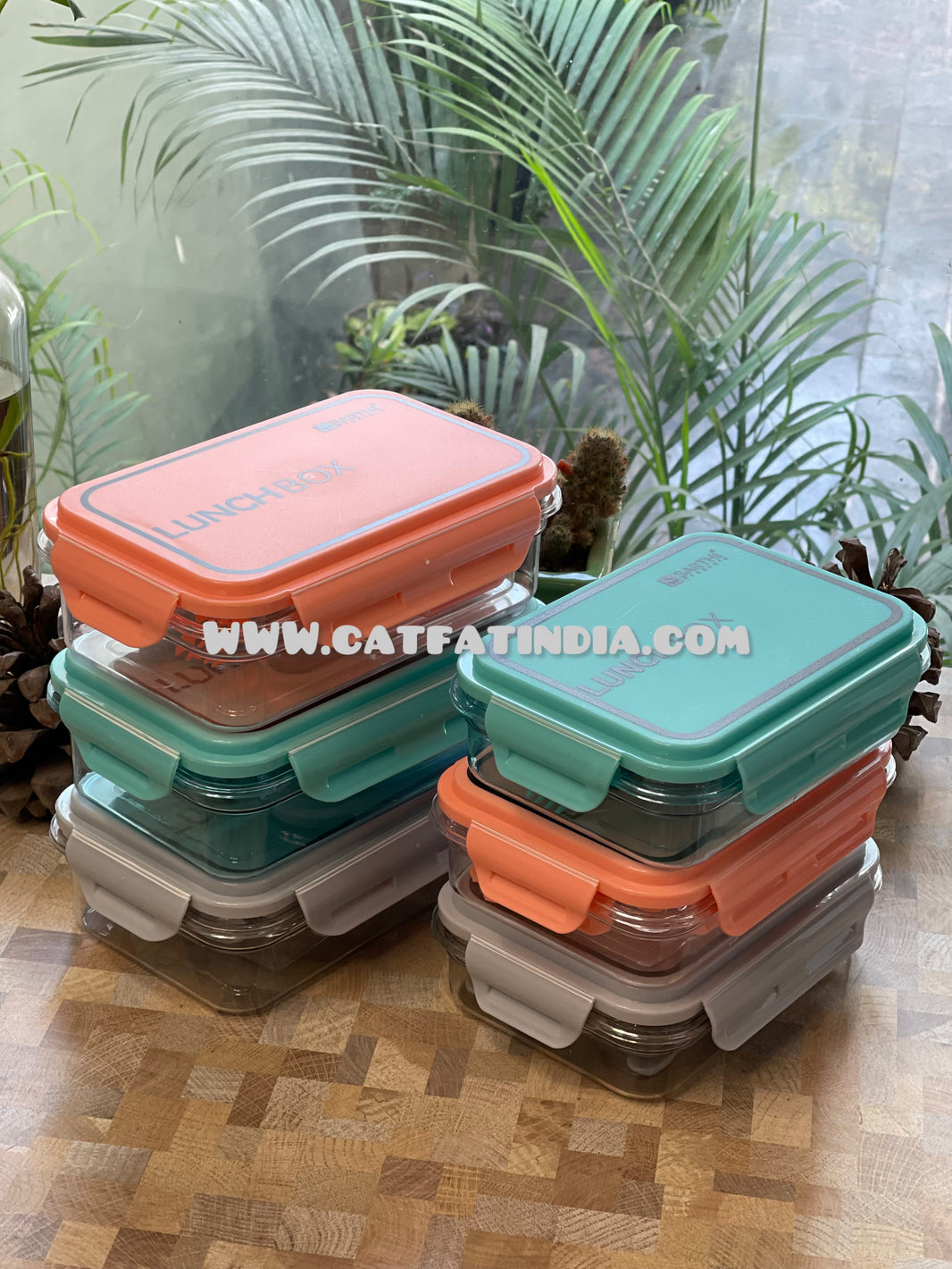 Half Price LUNCH BOX COLLECTION – CATFATINDIA