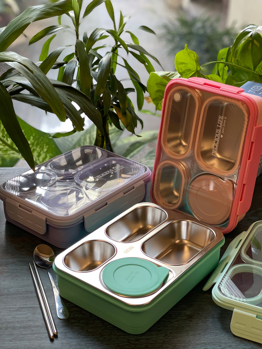 Ultimate Lunch Bento Box (100% Leak resistant) – CATFATINDIA